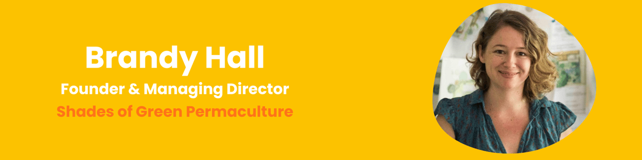 Trail Tales: A Look at 3 Leadership Journeys
